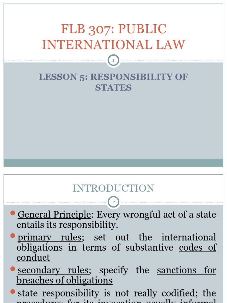FLB 307 Lesson 5, 6 and 7 | PDF | Sovereign Immunity | Consul ...