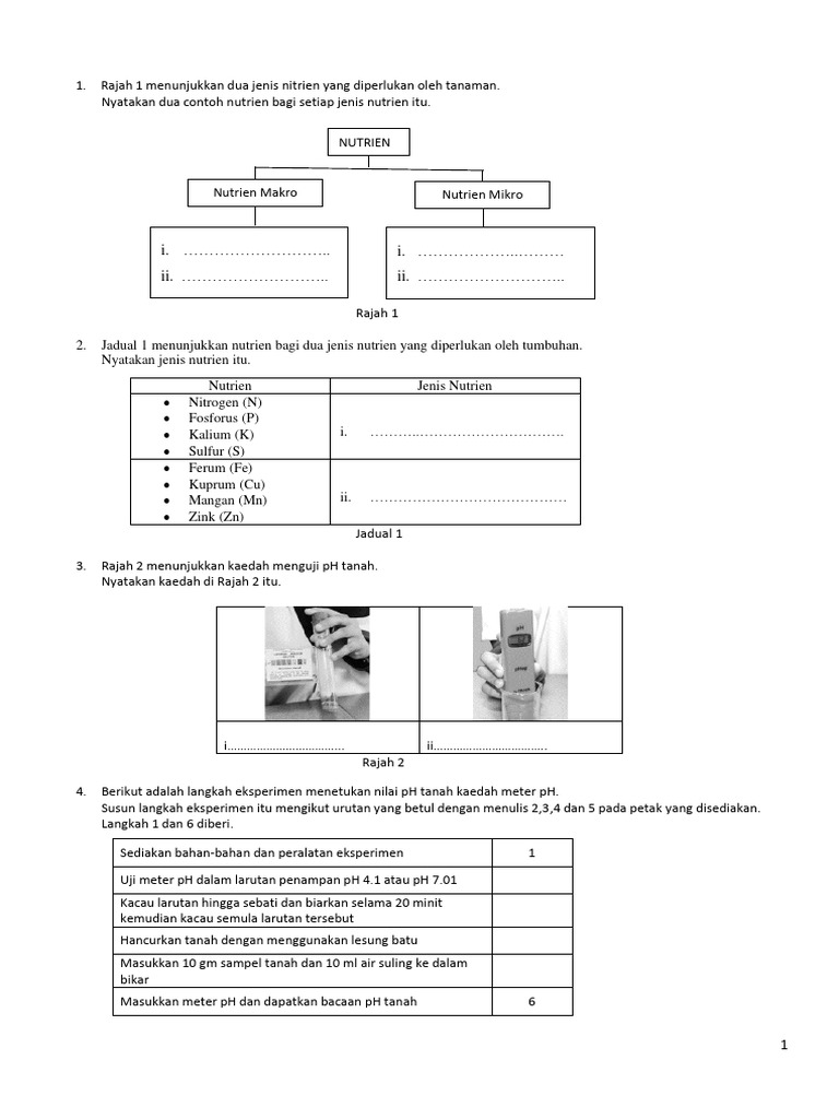 TMS 2022 - Untuk Murid | PDF