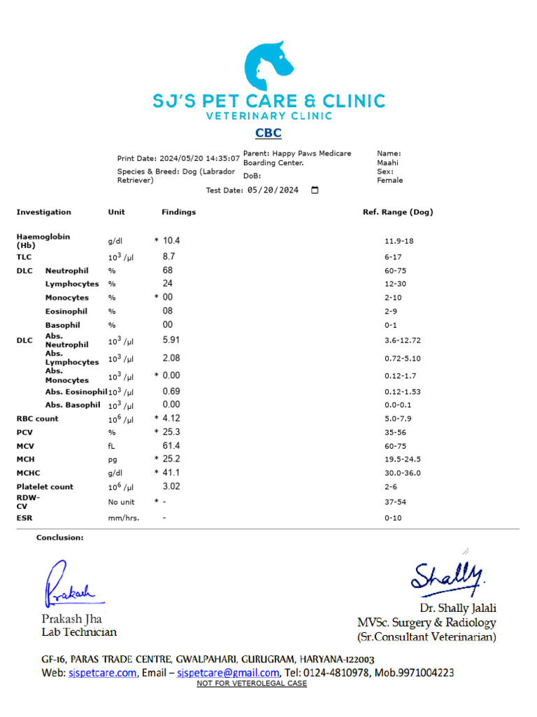 Maahi CBC Report | PDF | Dogs | Pathology