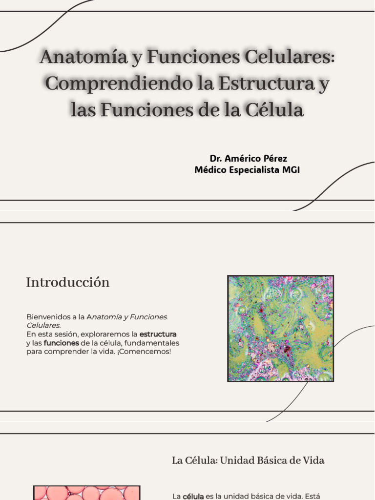 Anatomía y Funciones Celulares | PDF | Biología Celular) | Vida