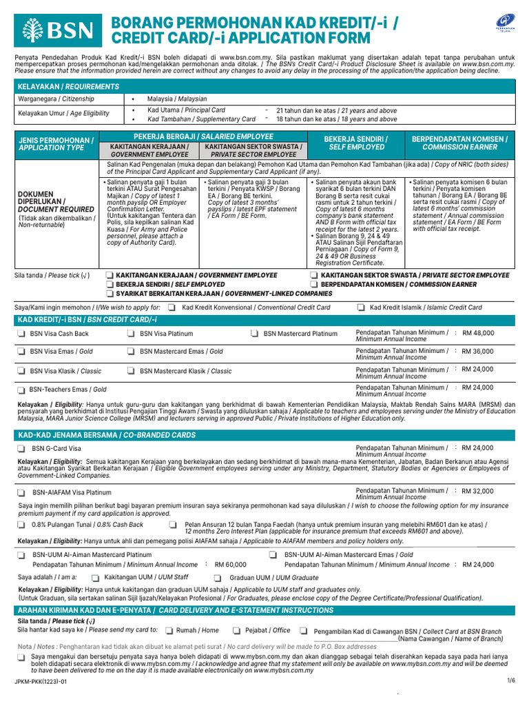 BSN Visa Form (31-5-2024) | Download Free PDF | Credit Card | Visa Inc.