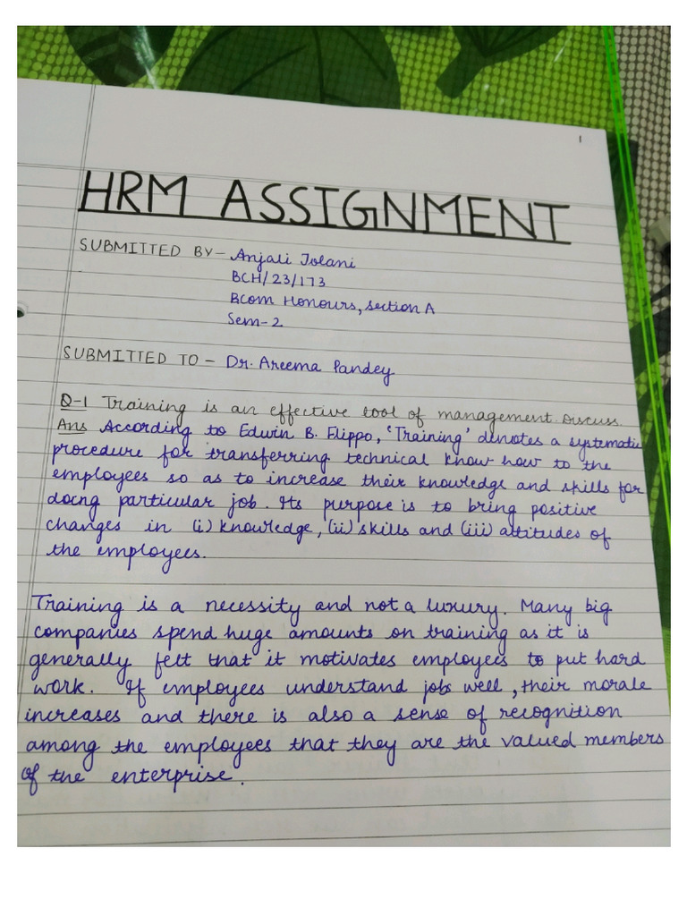 HRM Assignment | PDF