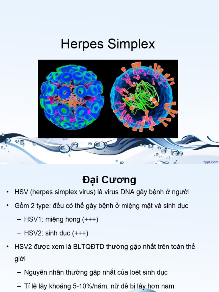 Herpes Simplex | PDF