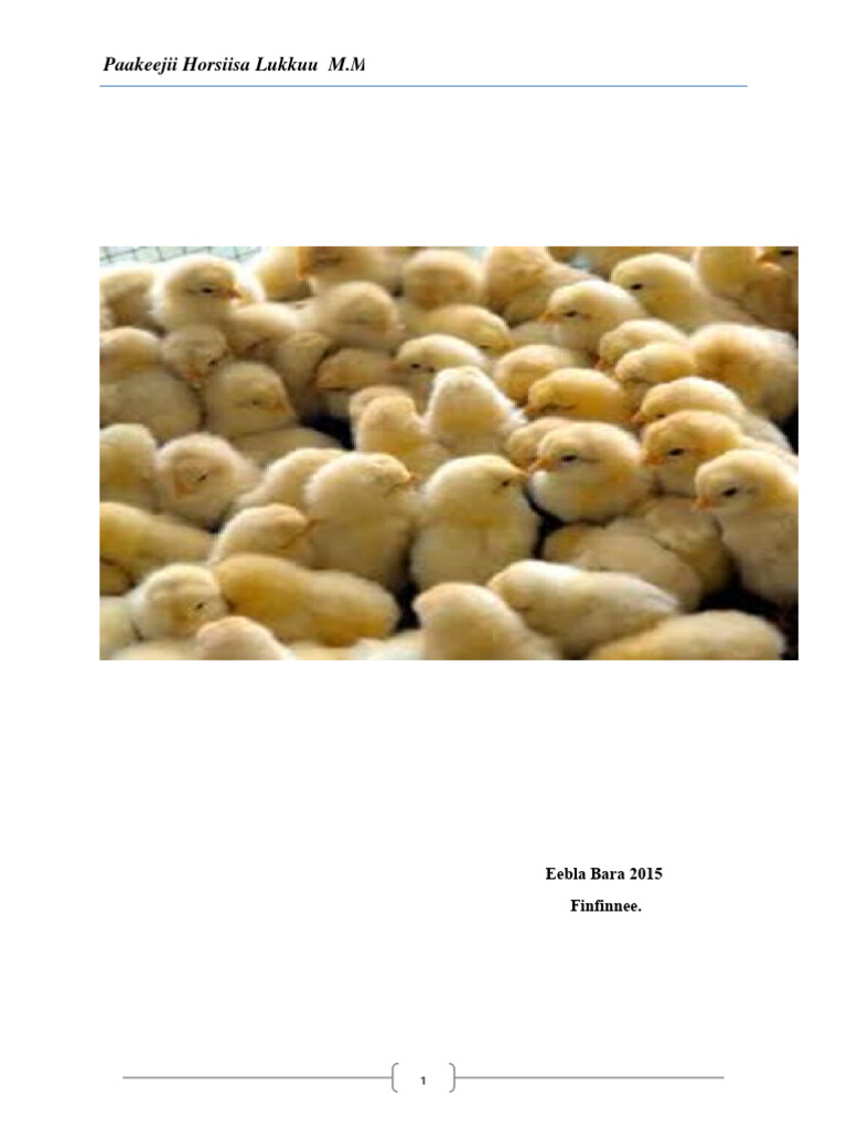 Paakeejii Misooma Lukkuu 2015 | PDF