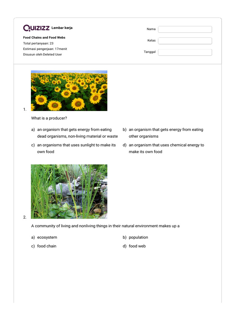 Food Chains and Food Webs | PDF | Foods | Food Web