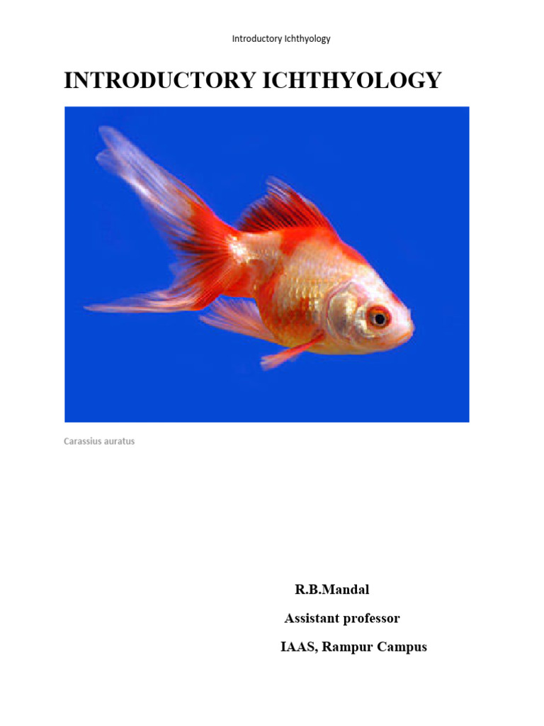 Ichthology | PDF | Fish
