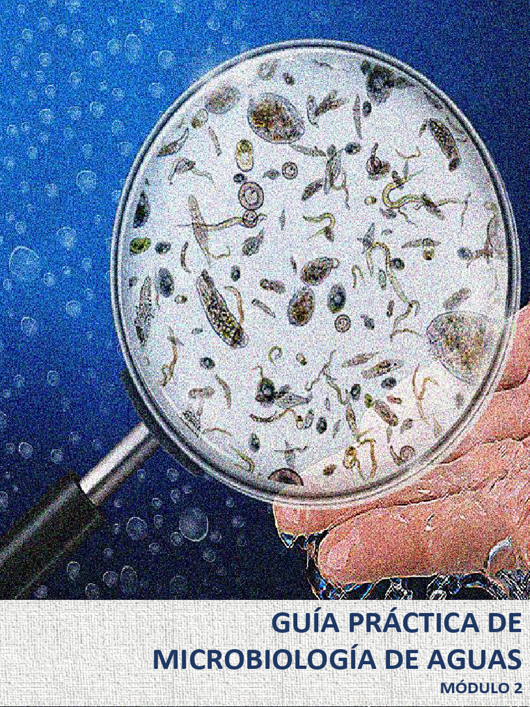 Guía Práctica de Microbiología de Aguas - Módulo 2 | Descargar gratis PDF | Agua potable | Agua