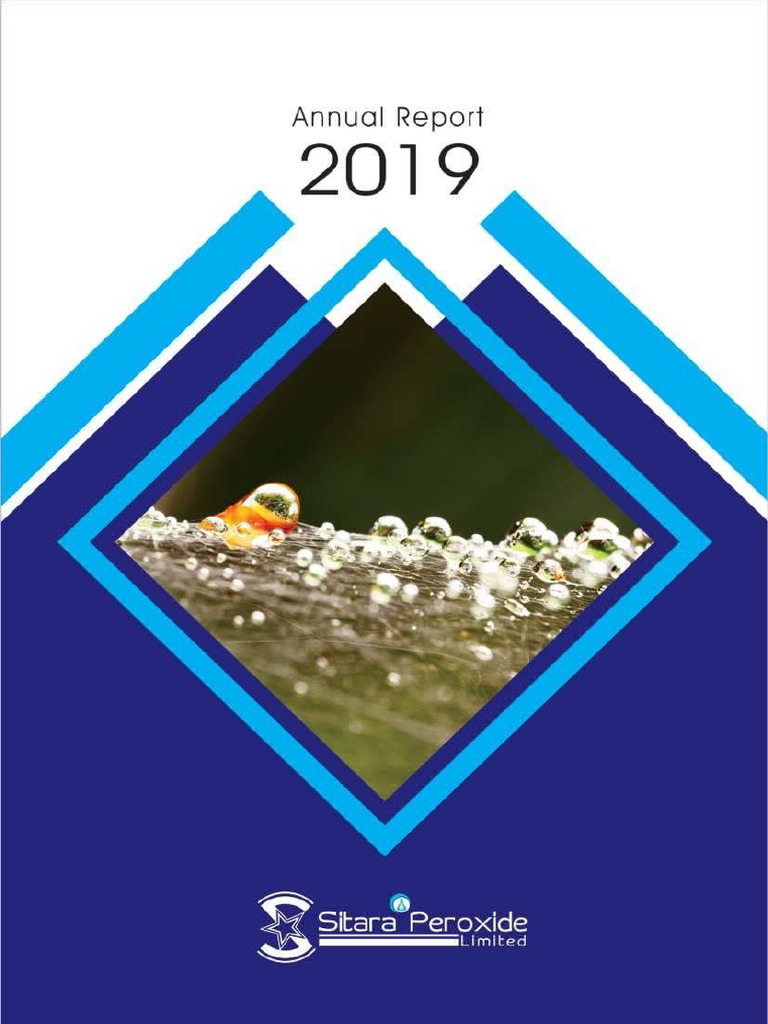 Sitara 2019 | PDF | International Financial Reporting Standards | Fair ...