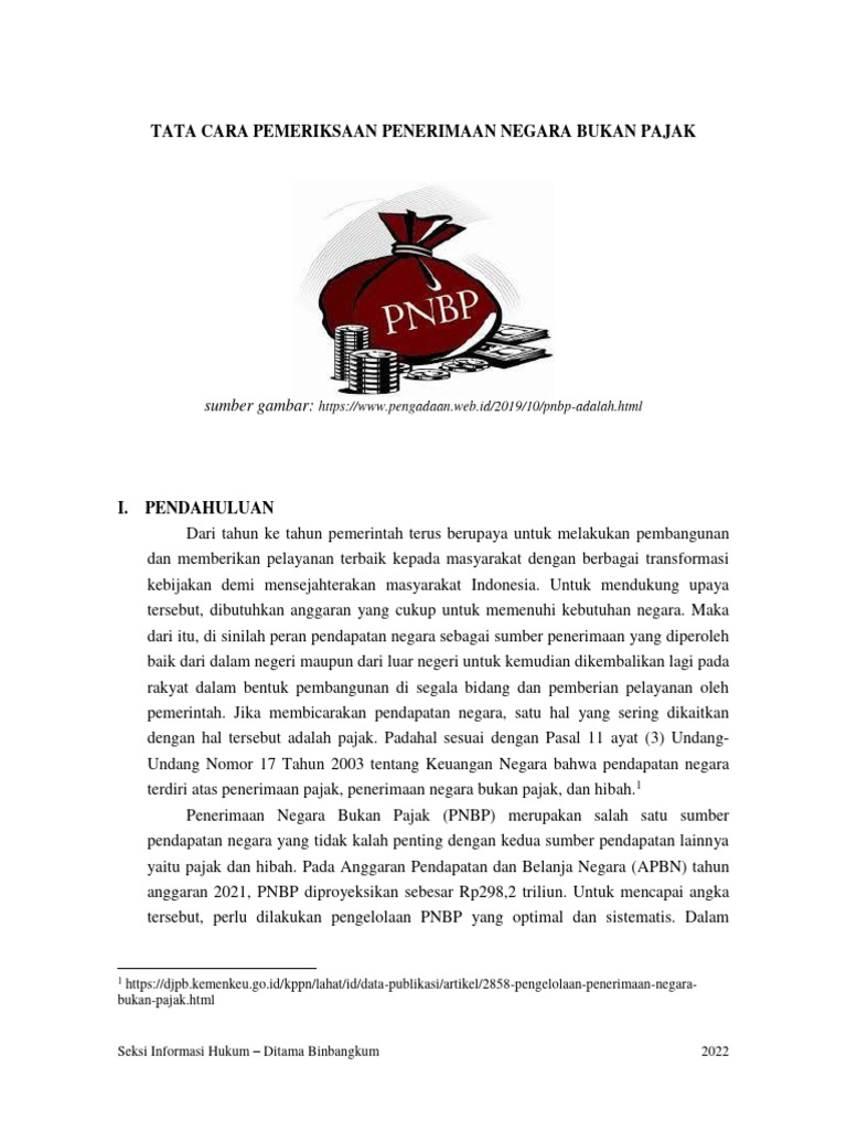 Tata Cara Pemeriksaan PNBP | PDF