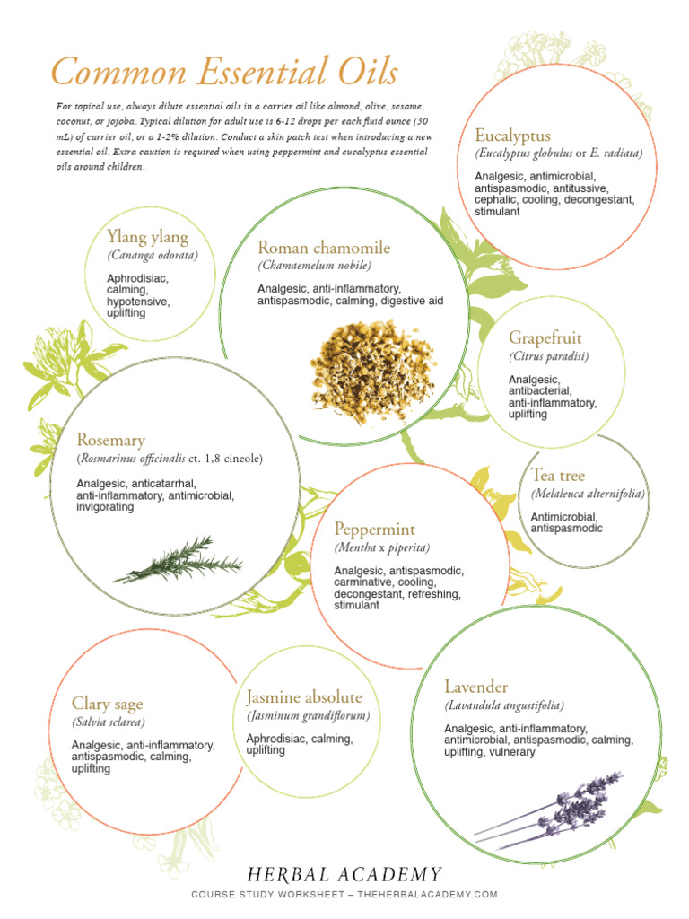 Essential Oils Introductory Herbal Course HA 2019 | PDF | Essential Oil ...