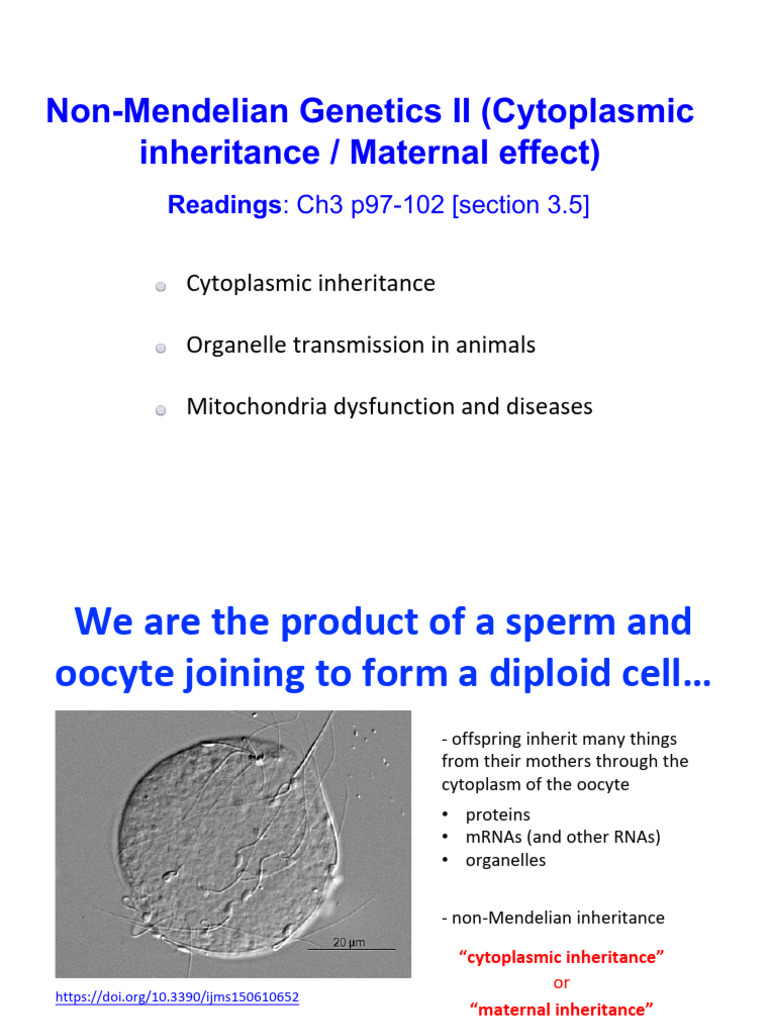 29 Non-Mendelian Inheritance | Download Free PDF | Mitochondrial Dna ...