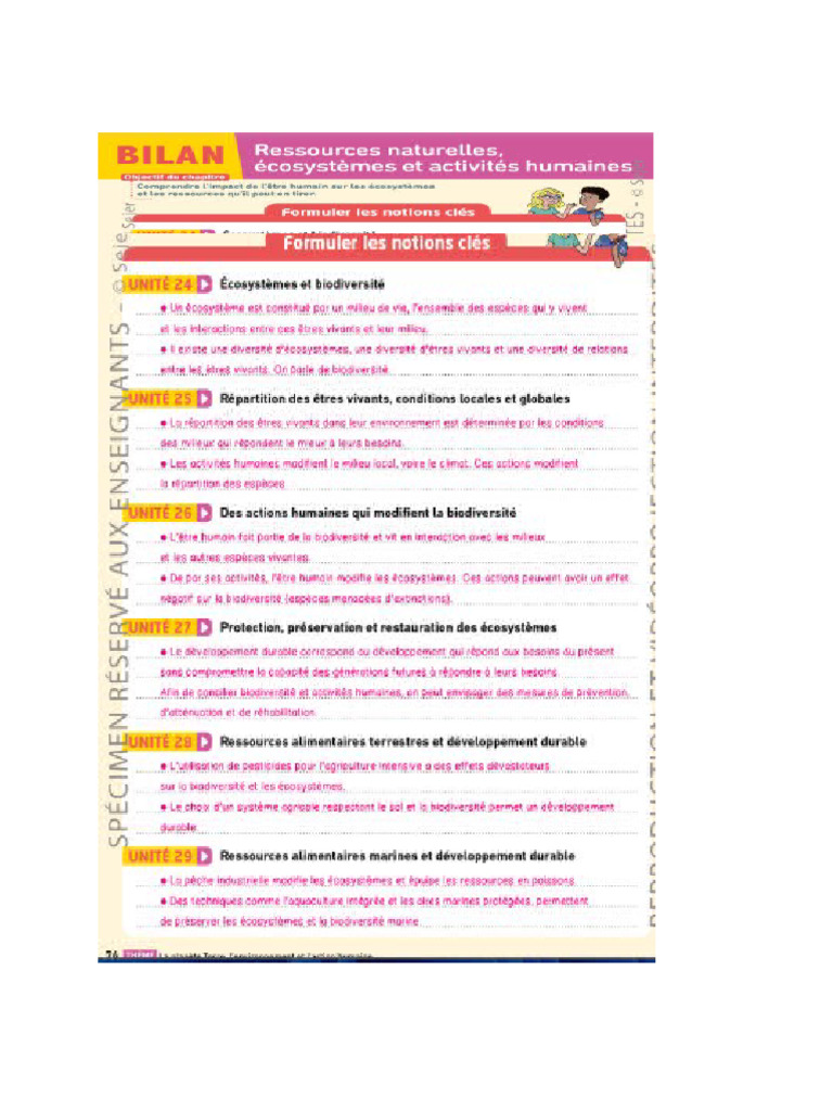 Bilan | PDF