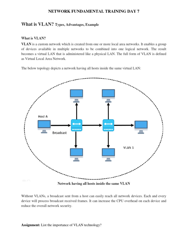 What Is VLAN Day 7 | PDF | Computer Network | Local Area Network