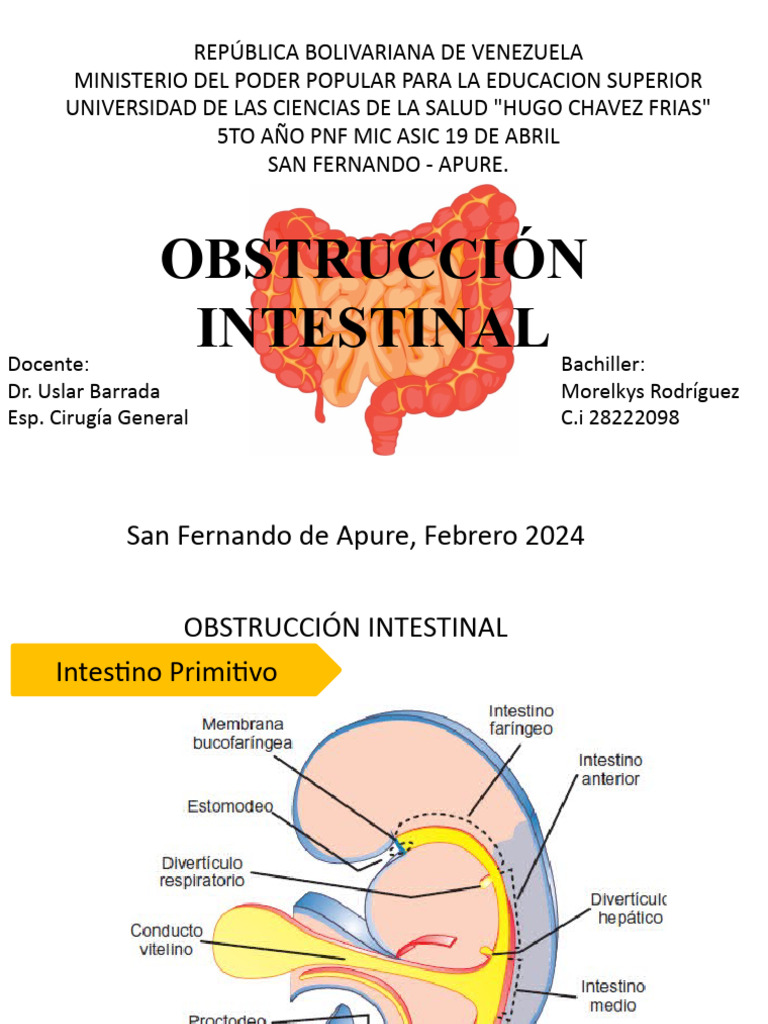 Obstrucción Intestinal: Causas y Tratamiento | PDF | Especialidades ...