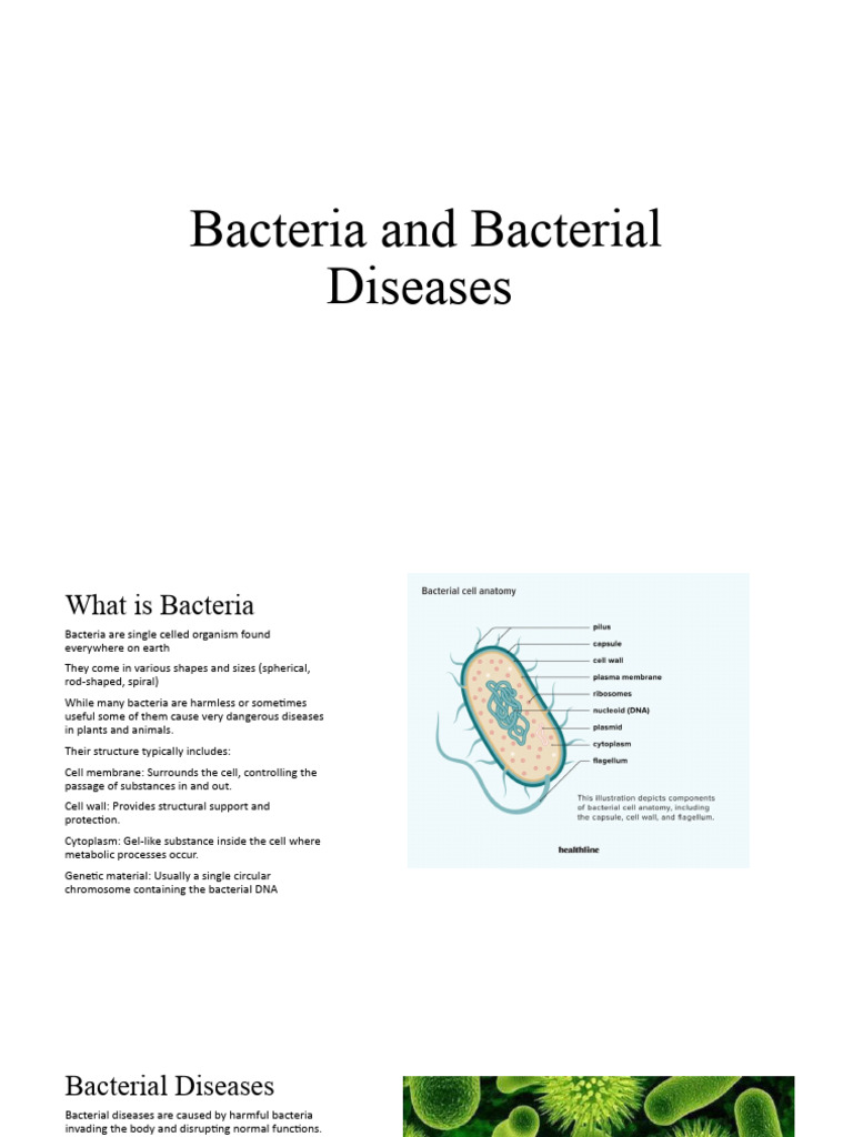 Bacteria and Bacterial Diseases | PDF | Science & Mathematics
