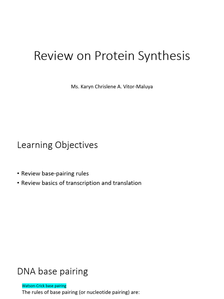 Review Protein Synthesis | PDF | Rna | Messenger Rna