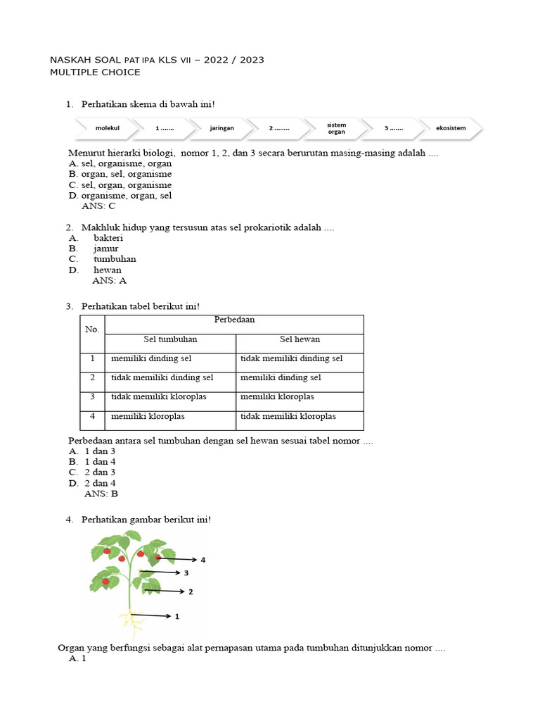 Naskah Soal Pat Ipa Vii 2023 | PDF | Kesehatan Holistik | Sains & Matematika