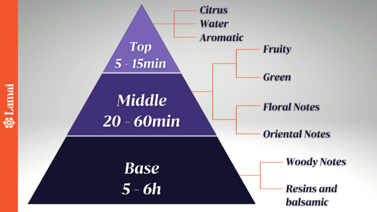 Printable - Olfactory Pyramid | PDF