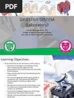 Histology Of Appendix Pdf Gastrointestinal Tract Organ Anatomy