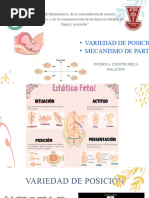 Maniobras en el Parto: Técnicas Clave | PDF | Pelvis | Parto