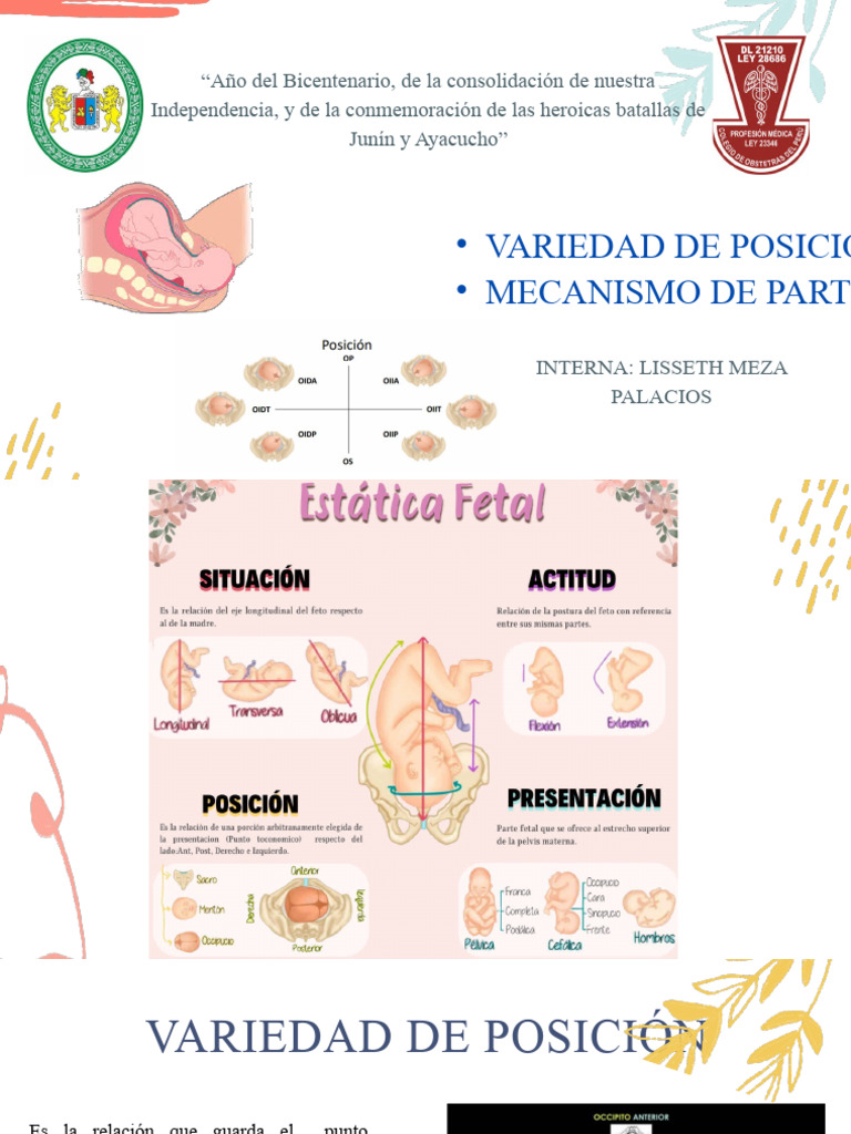 MECANISMO DE PARTO Y VARIEDAD DE POSICION | PDF