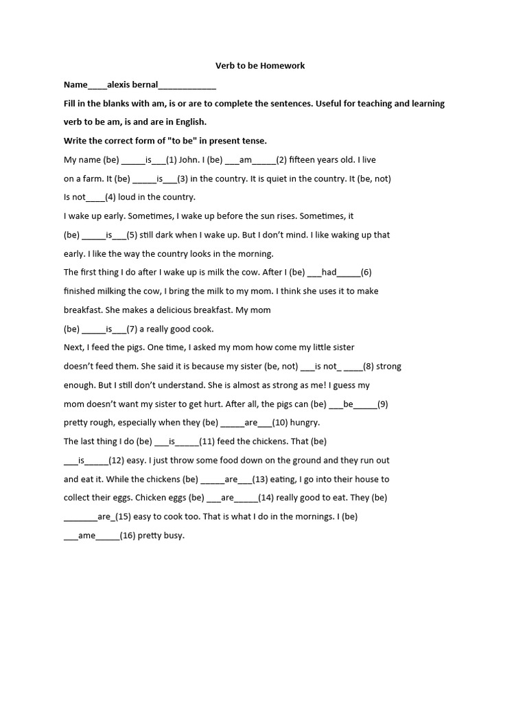 Verb to Be Practice Worksheet | PDF