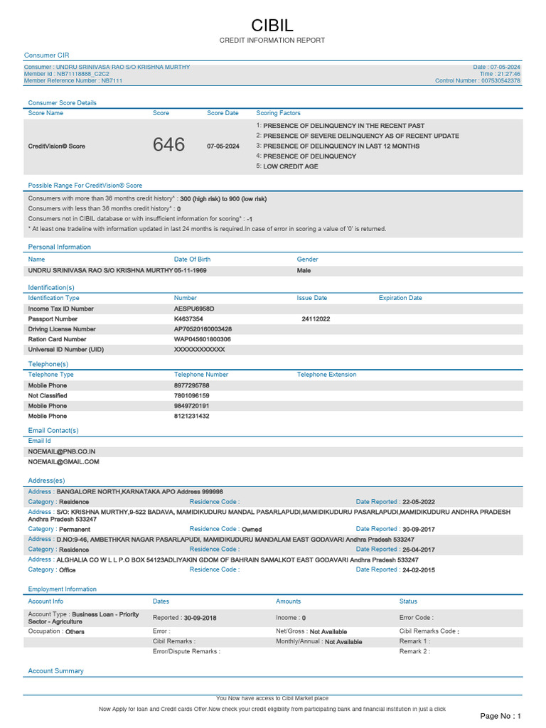 Cibil Report | PDF | Credit | Finance & Money Management