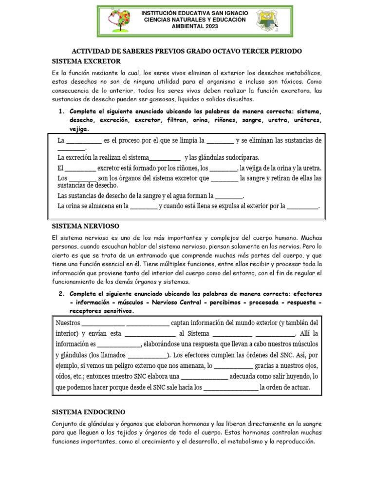 Actividad de Saberes Previos Grado Octavo Tercer Periodo | PDF | Sistema endocrino | Sistema ...