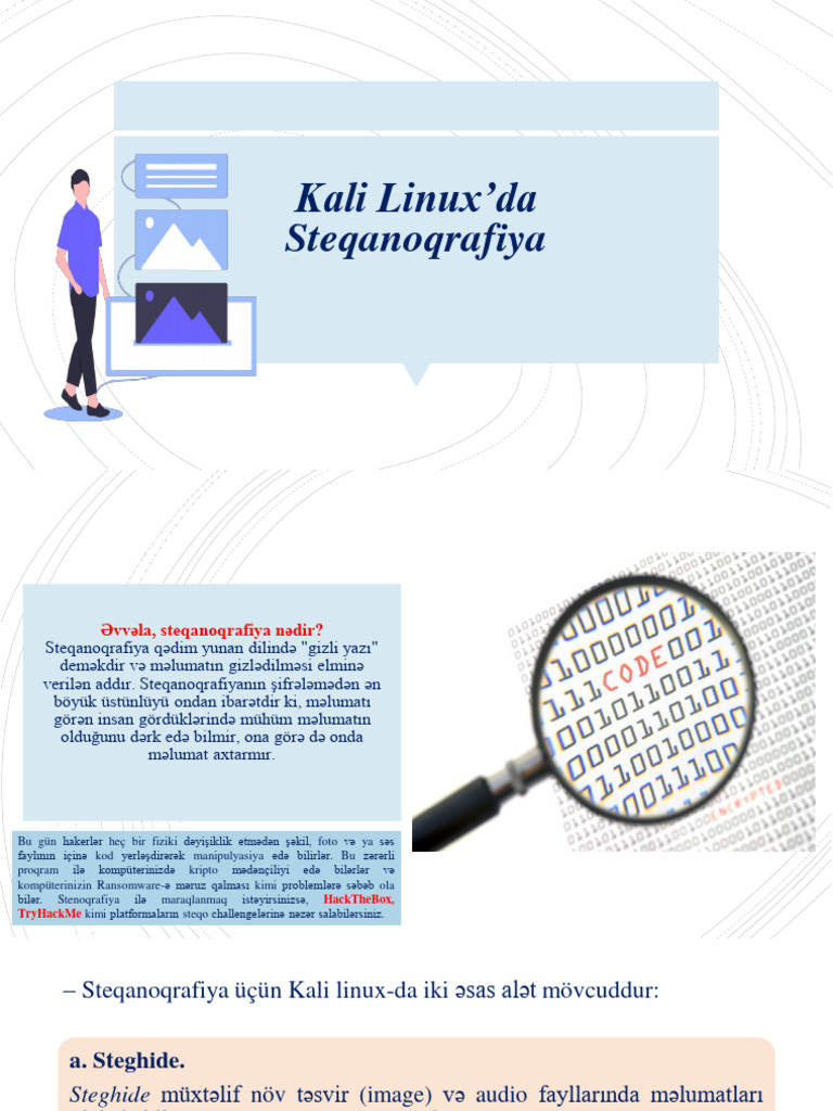 Example Steghide | PDF