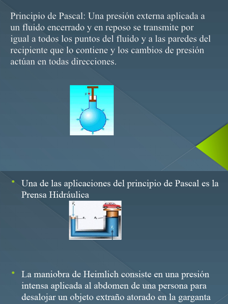 Pascal | PDF | Física Aplicada e Interdisciplinaria | Metrología