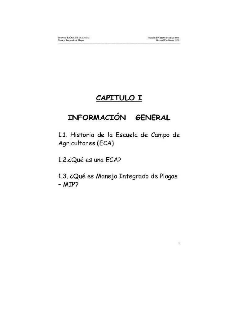 Eca Metodologias Plan | PDF