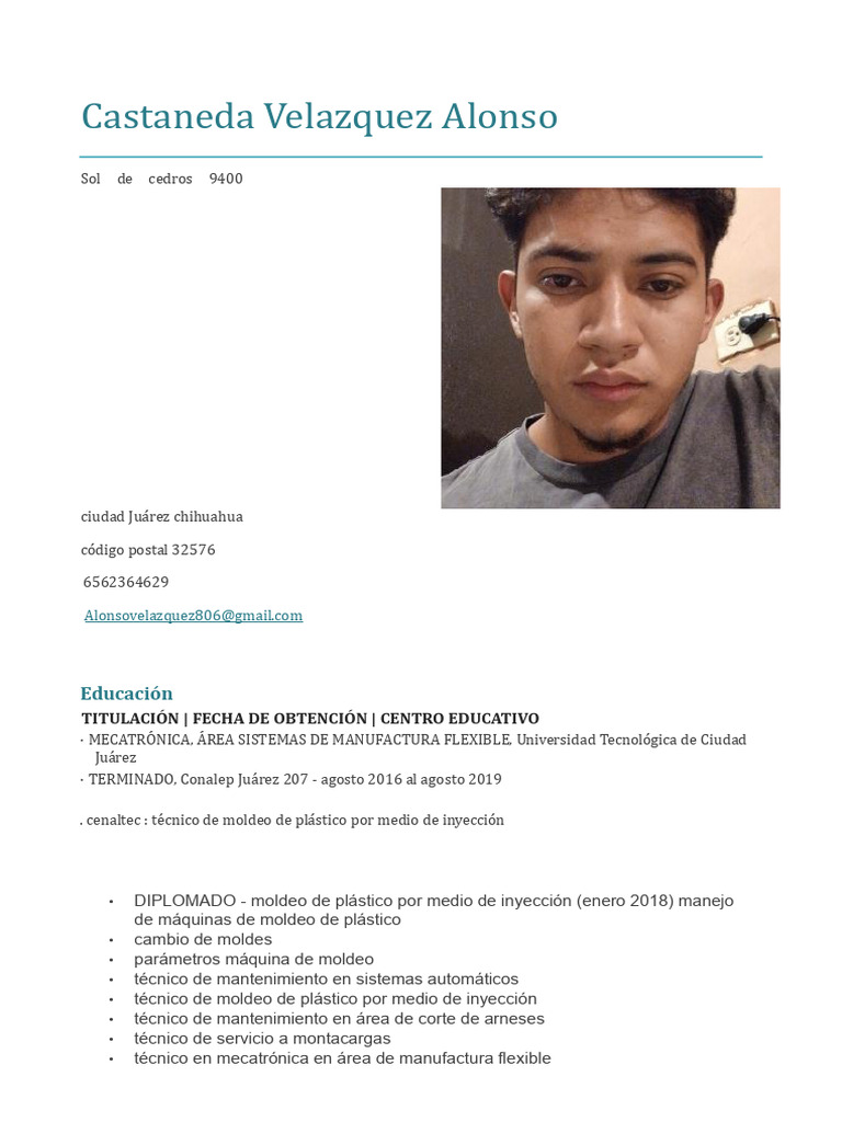 CV Alonso Castañeda Velazquez (10-30am 18-05-24) | PDF | Ingeniería ...