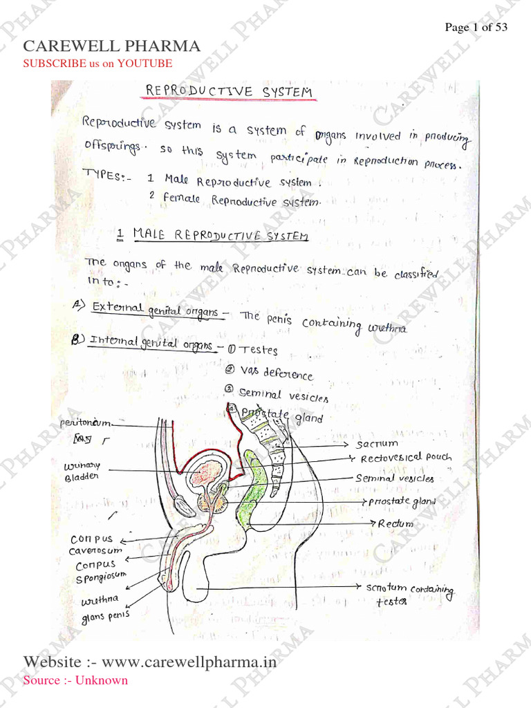 Unit 5, Human Anatomy and Physiology 2, B Pharmacy 2nd Sem, Carewell ...