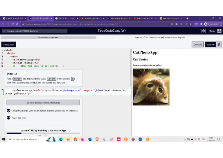 14 Ejercicios HTML | PDF