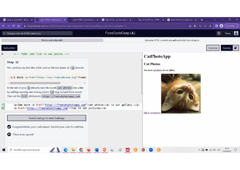 12 Ejercicios HTML | PDF