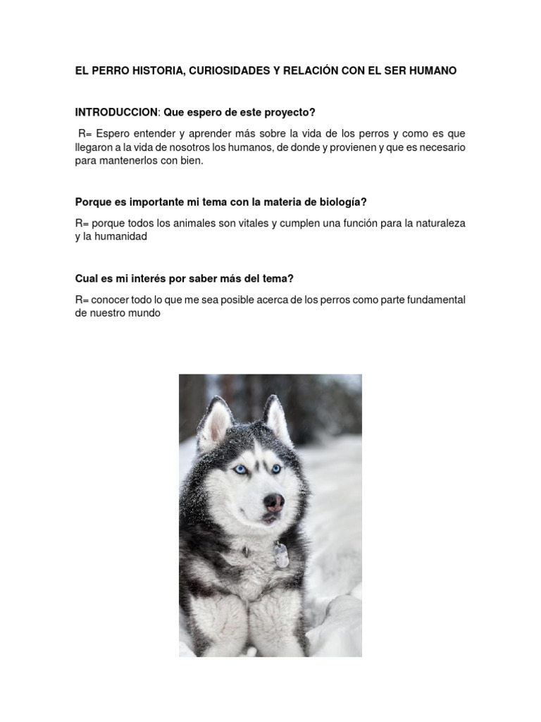 Historia y Curiosidades del Perro | PDF | Sistema digestivo humano ...