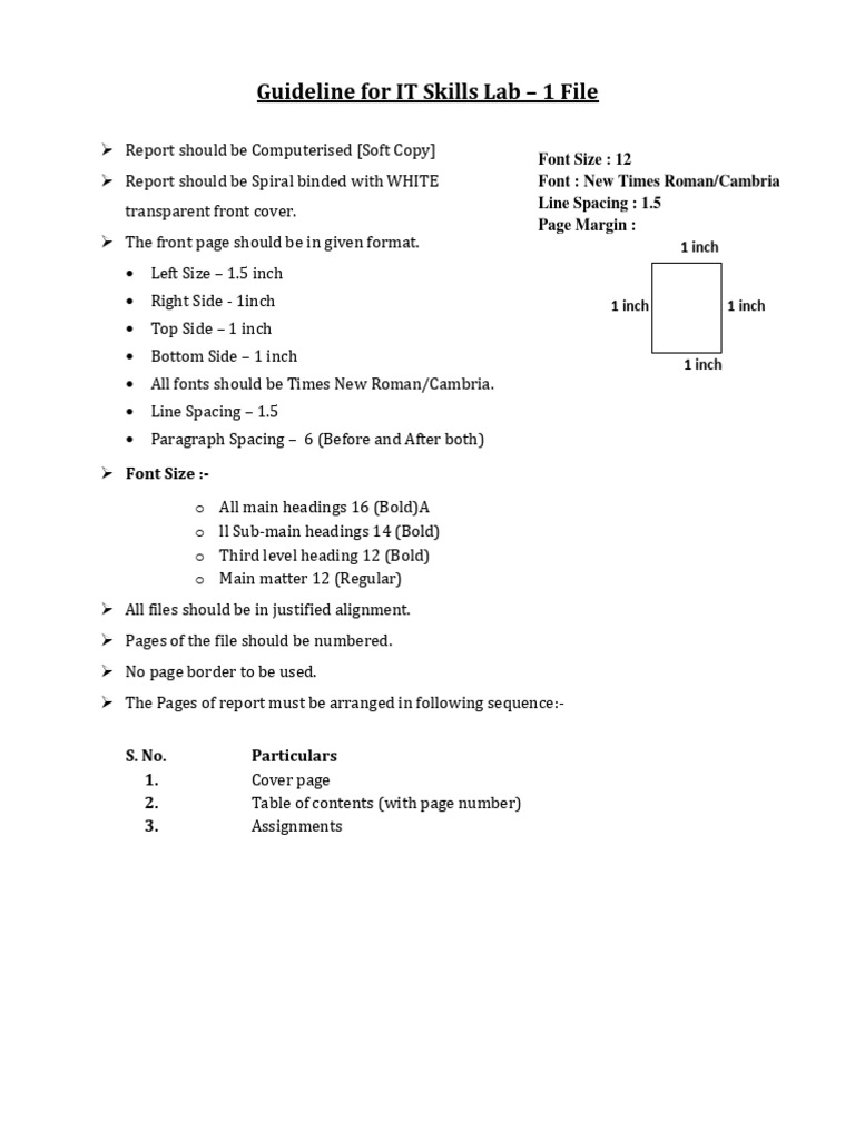 Guideline For IT Skills Lab-1 File | PDF