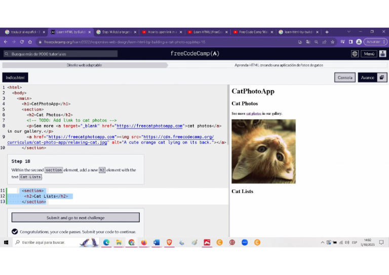 18 Ejercicios HTML | PDF
