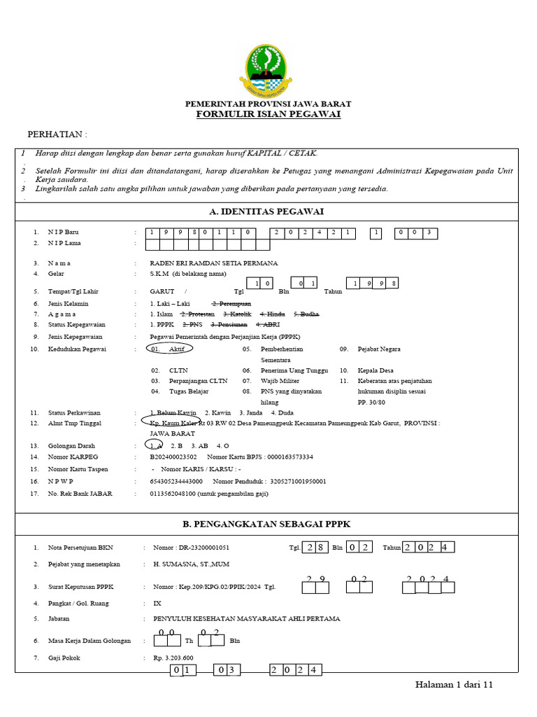 Formulir Isian Pegawai PPPK Jabar | PDF