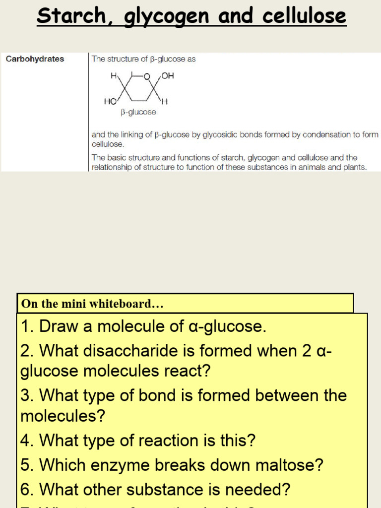 Starch Glycogen and Cellulose. | PDF | Starch | Cellulose