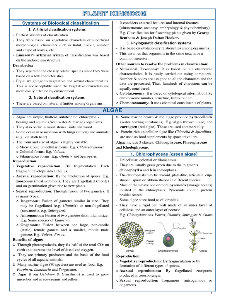 Plant Kingdom Quick Notes | Download Free PDF | Spore | Reproduction