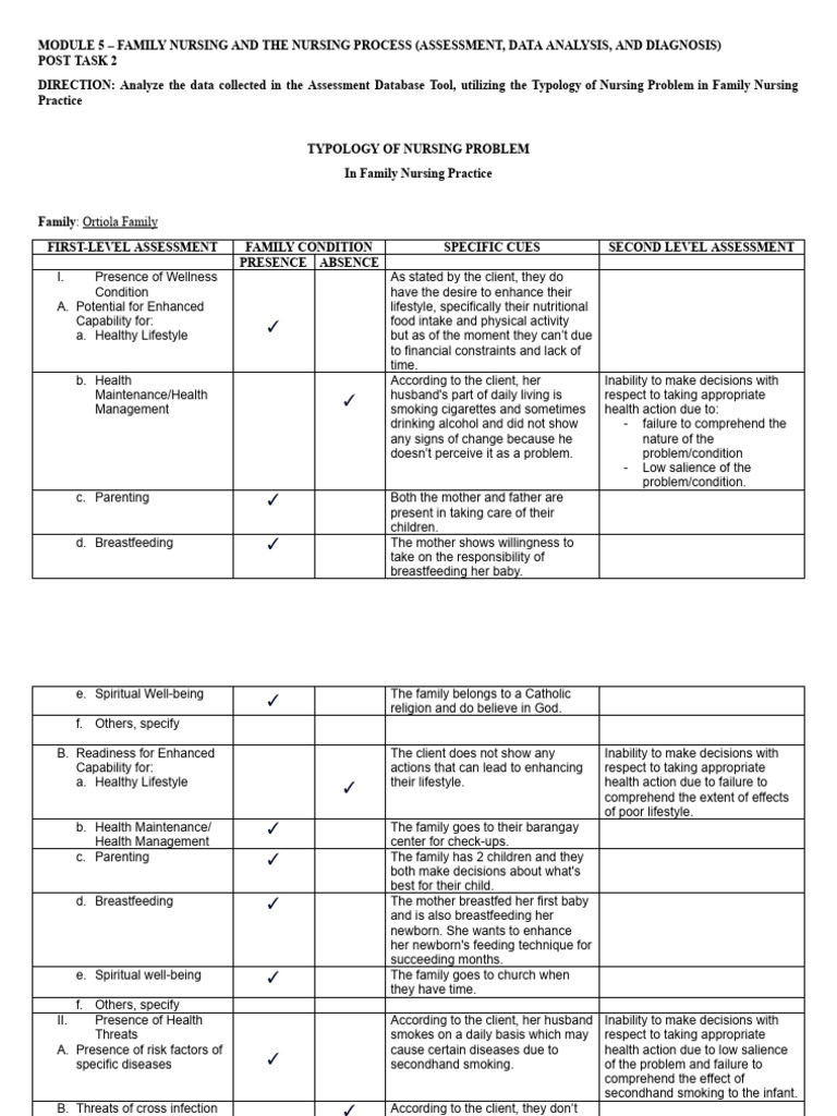 Family Nursing Assessment Analysis | PDF | Breastfeeding | Nursing