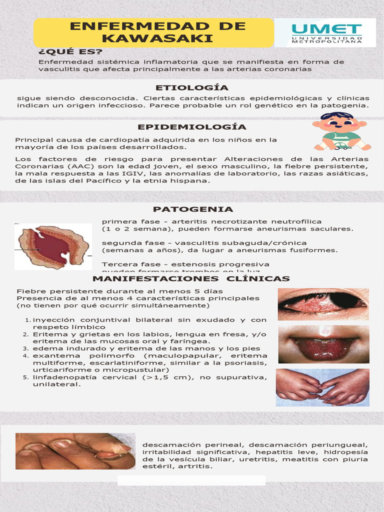 Infografia KW | PDF | Enfermedades y trastornos | Ciencias de la Salud
