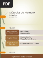 Anatomia da Região Glútea e Nervos | PDF | Pélvis | Nervo