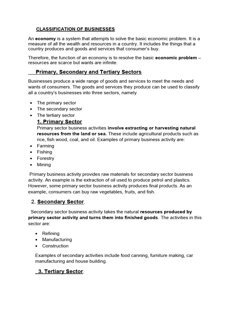 Classification of Businesses | PDF | Goods | Tertiary Sector Of The Economy