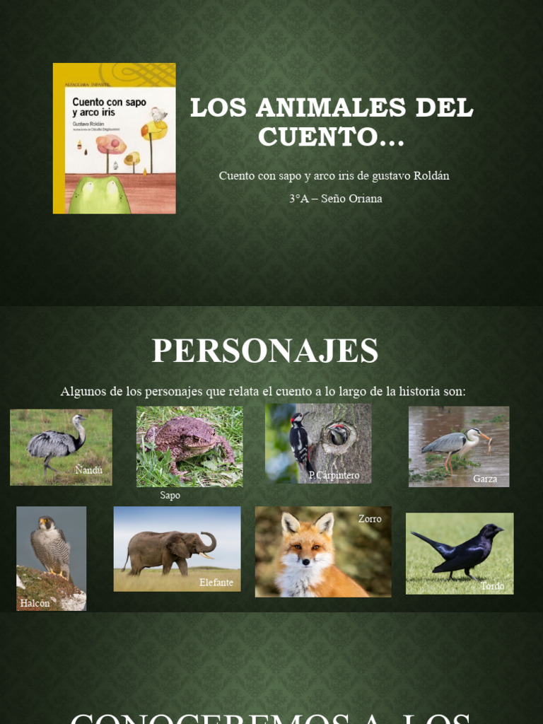 Los Animales Del Cuento 3°A | PDF | Aves | Zoología