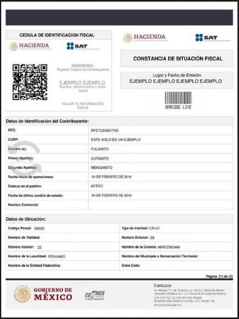 Formato Contancia Fisca | PDF