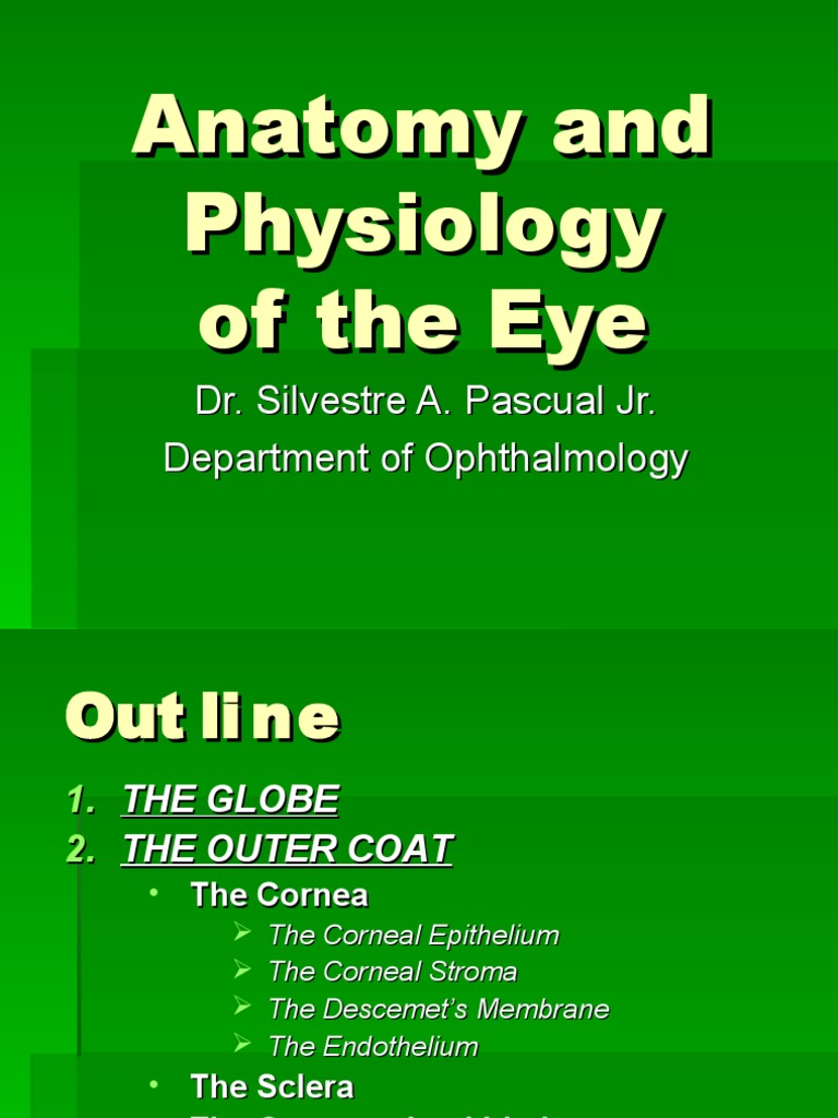 Ophtha - Anatomy and Physiology of The Eye 2007 | PDF | Cornea | Retina
