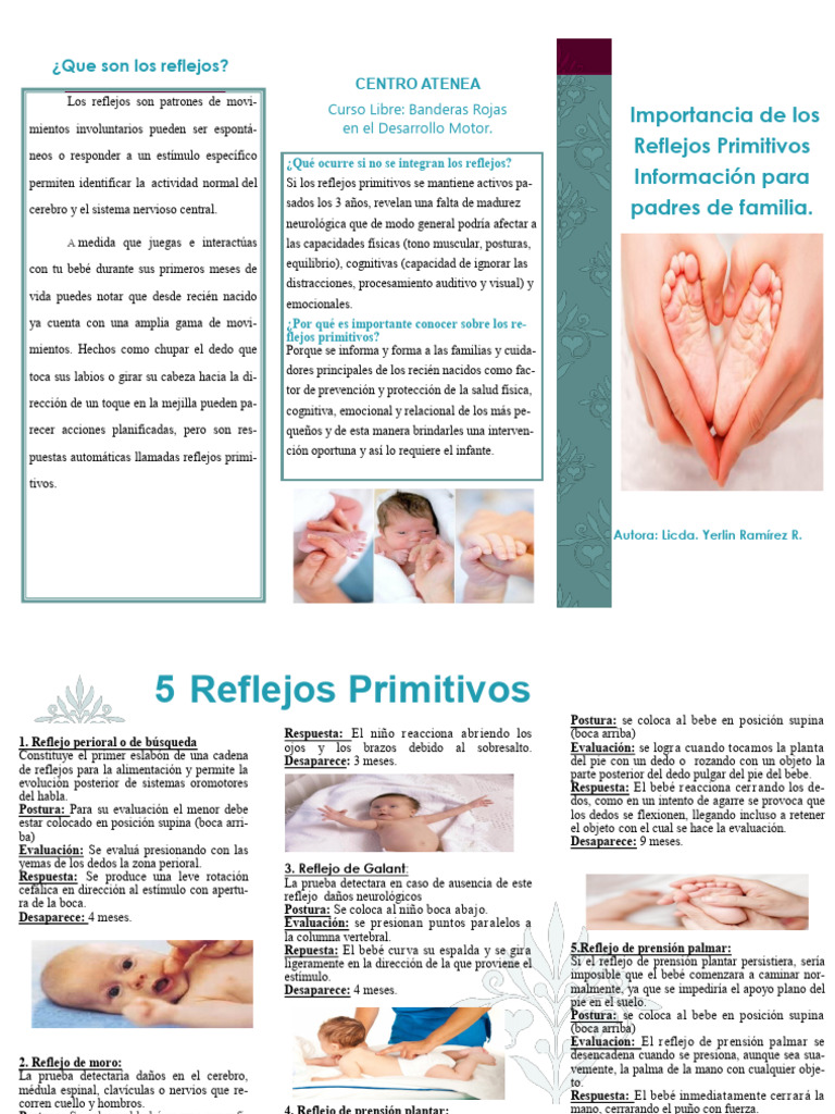 Reflejos Primitivos | Descargar gratis PDF | Neurociencia | Sistema nervioso