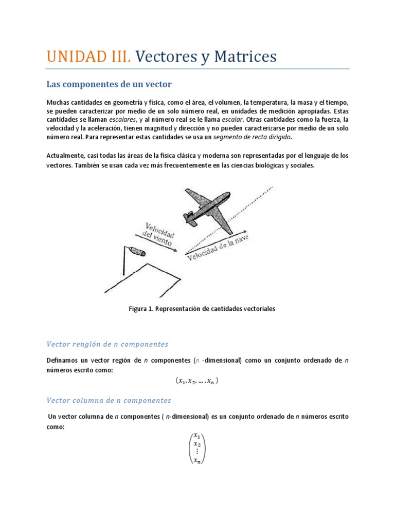 UNIDAD III Vectores y Matrices | PDF | Vector Euclidiano | Espacio ...